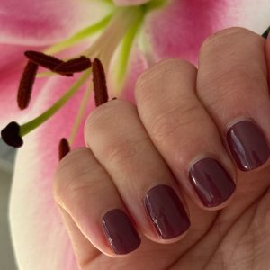 Transparent Pink | LA-BEK