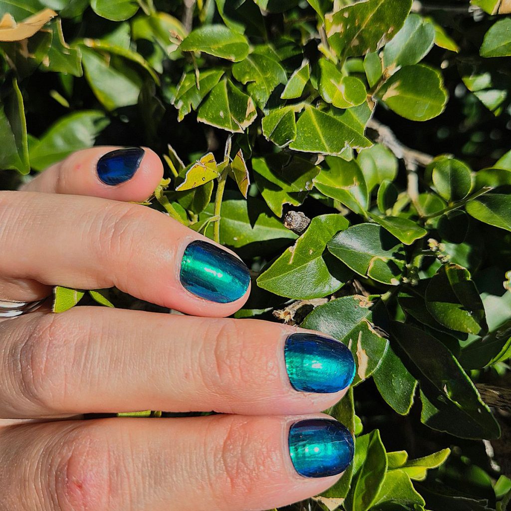 Transparent Pink | LA-BEK